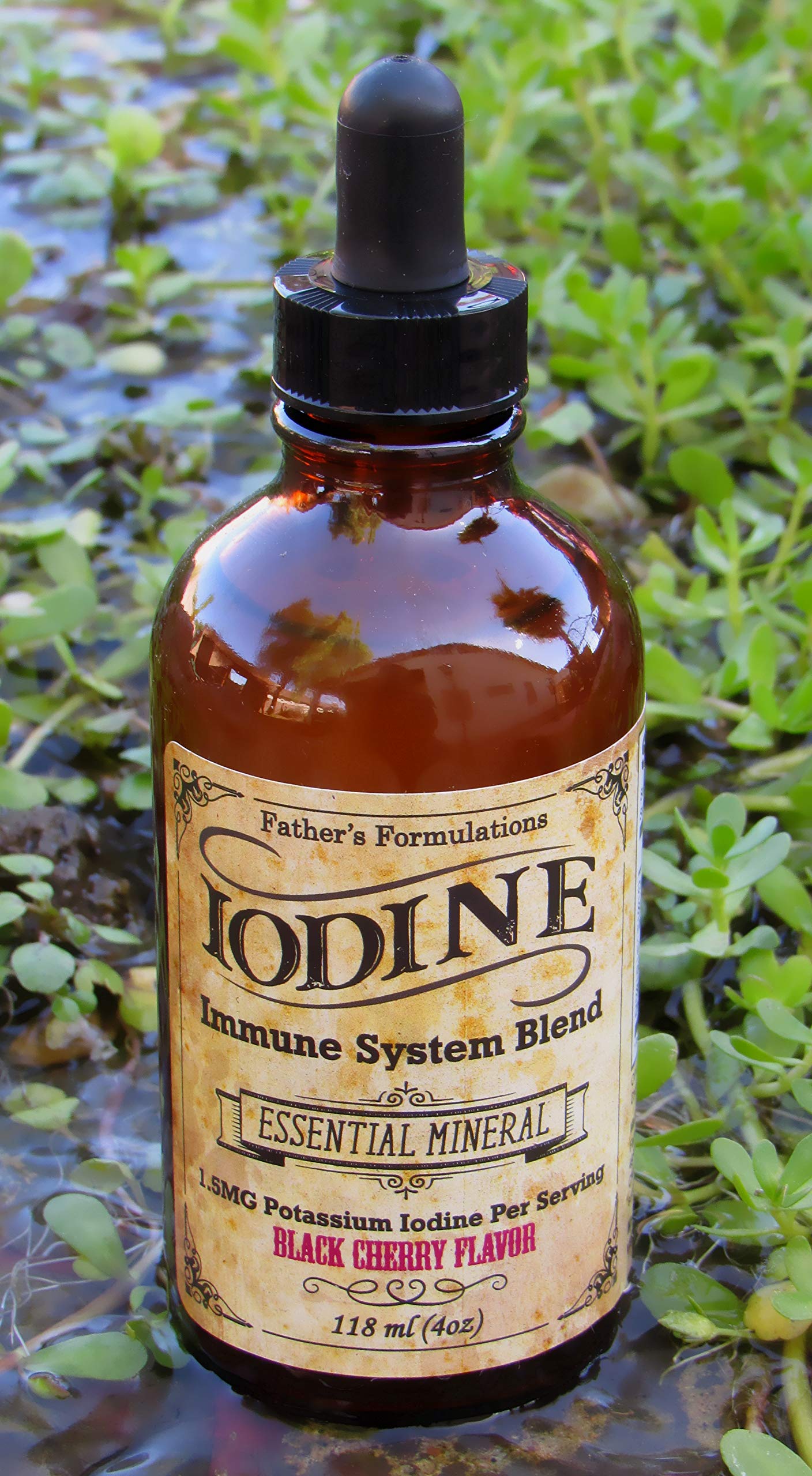 liquid iodine supplement for daily wellness
