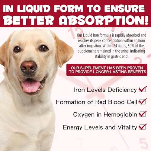 liquid iron for dogs with anemia