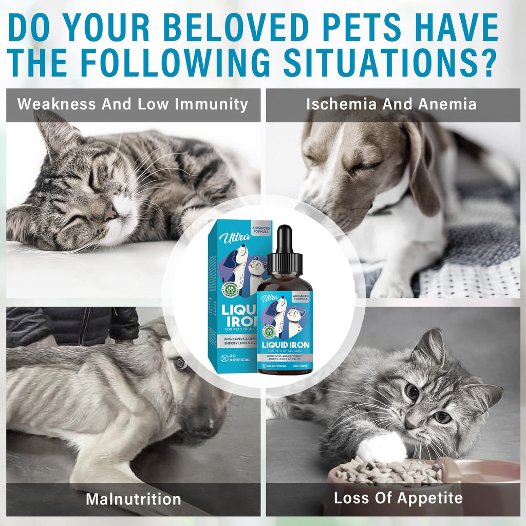 liquid iron for low energy dogs
