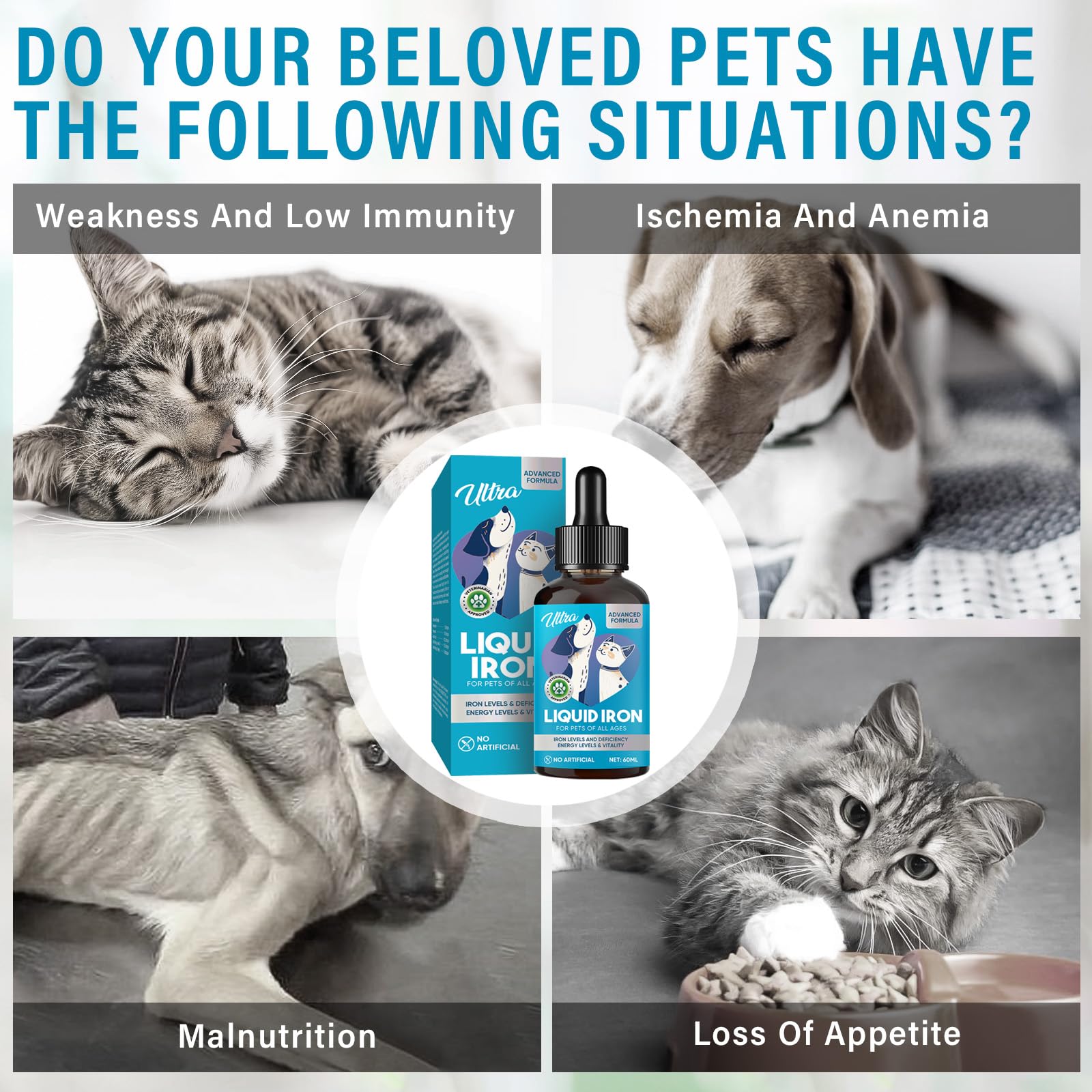 liquid iron for low energy dogs