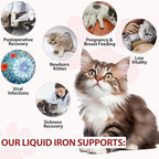 liquid iron for optimal feline health