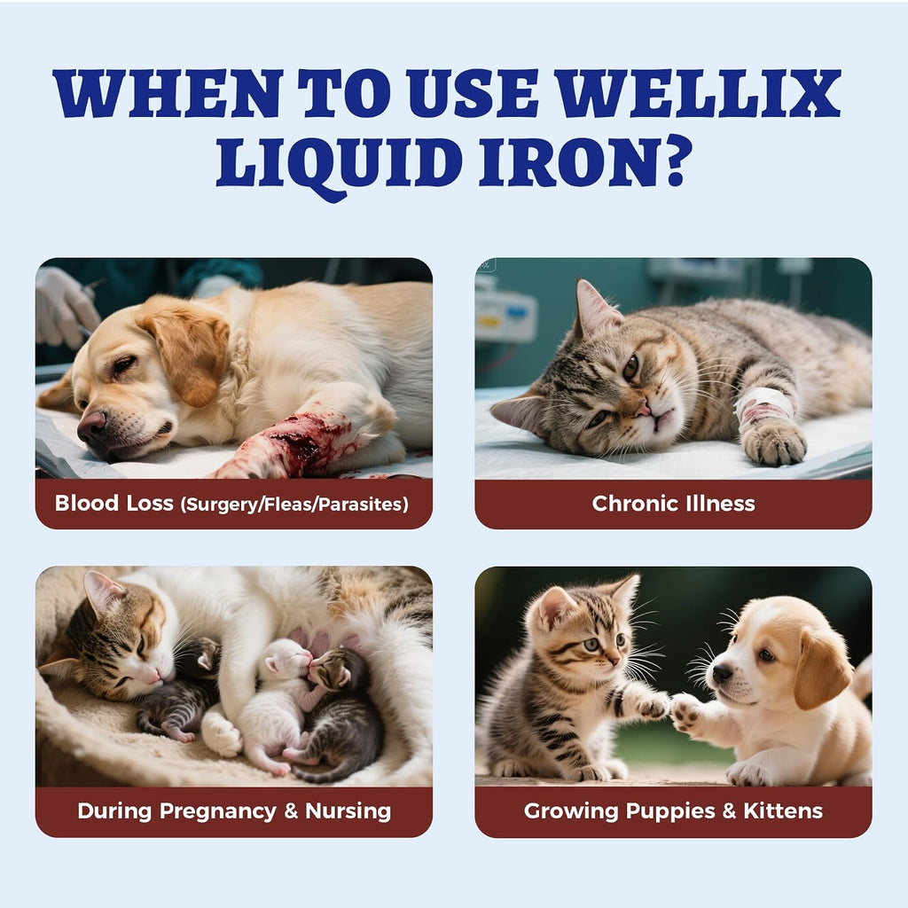 liquid iron for optimal pet health
