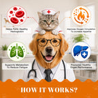 liquid iron for pet nutrition