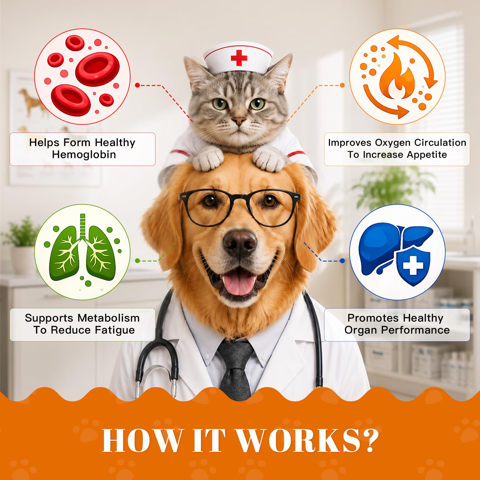 liquid iron for pet nutrition
