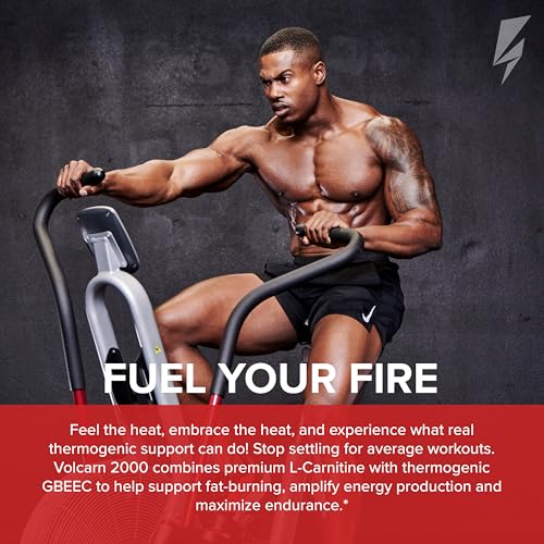 Liquid L-Carnitine for enhanced performance