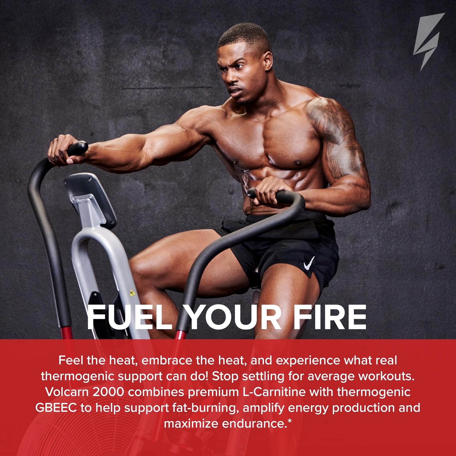 liquid l-carnitine for fat loss