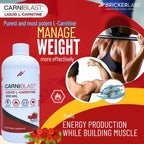 liquid L-Carnitine for weight management