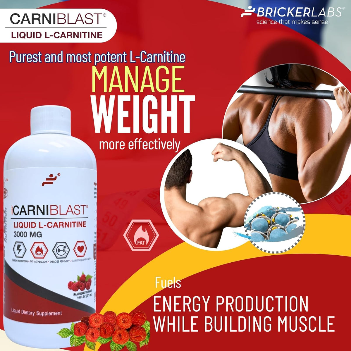 liquid L-Carnitine for weight management