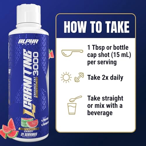 liquid l-carnitine for workout recovery