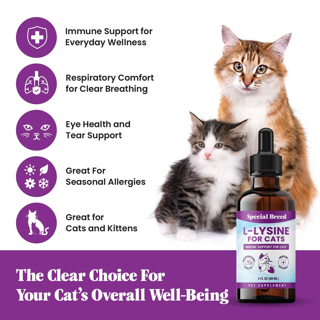 liquid l-lysine for better absorption