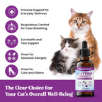 liquid l-lysine for better absorption