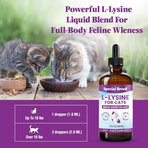 liquid l-lysine for better absorption