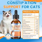 Liquid L-Lysine for cat nutrition