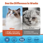 Liquid L-Lysine for cat respiratory health