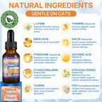 liquid l-lysine for feline health