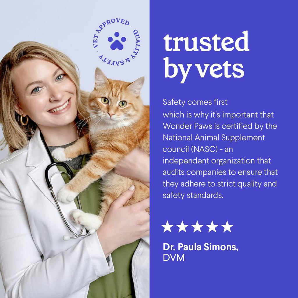liquid L-Lysine for feline wellness