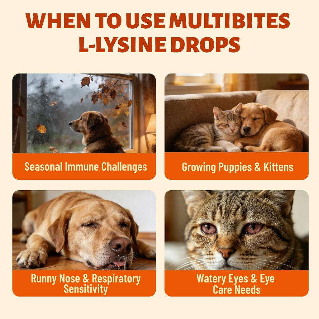 liquid L-Lysine for healthy pets