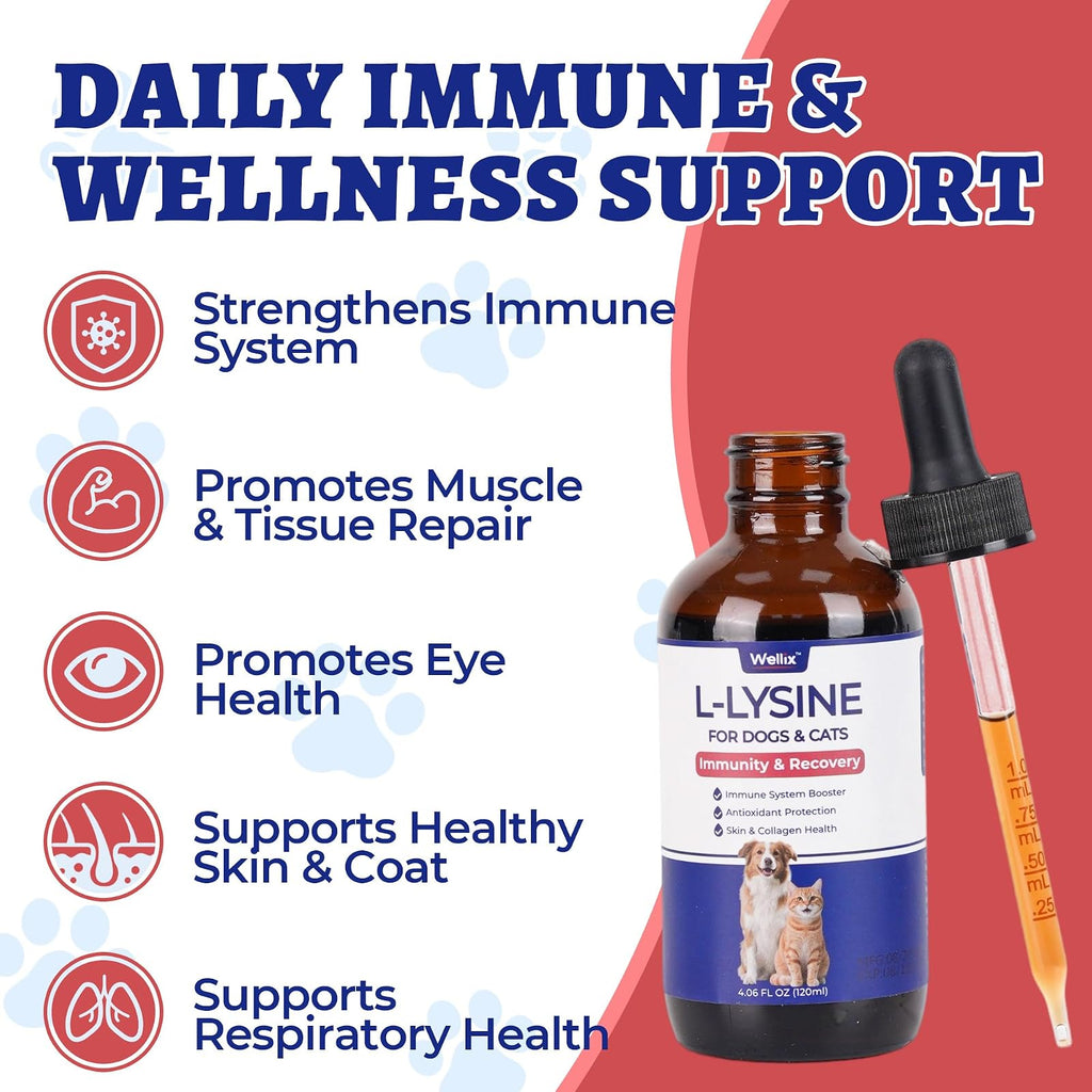 liquid l-lysine for immune support