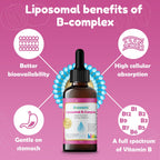 liquid liposomal vitamin b complex