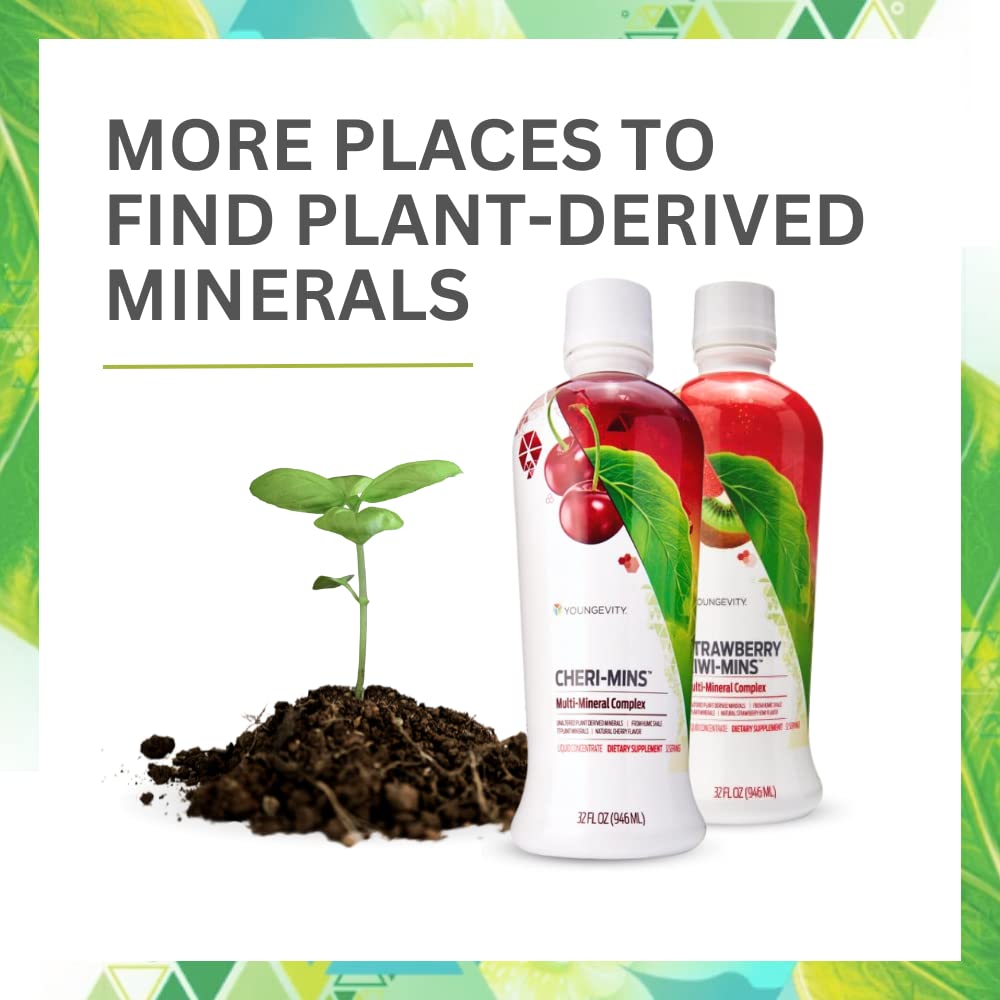 Liquid mineral supplement for hydration