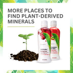 Liquid mineral supplement for hydration