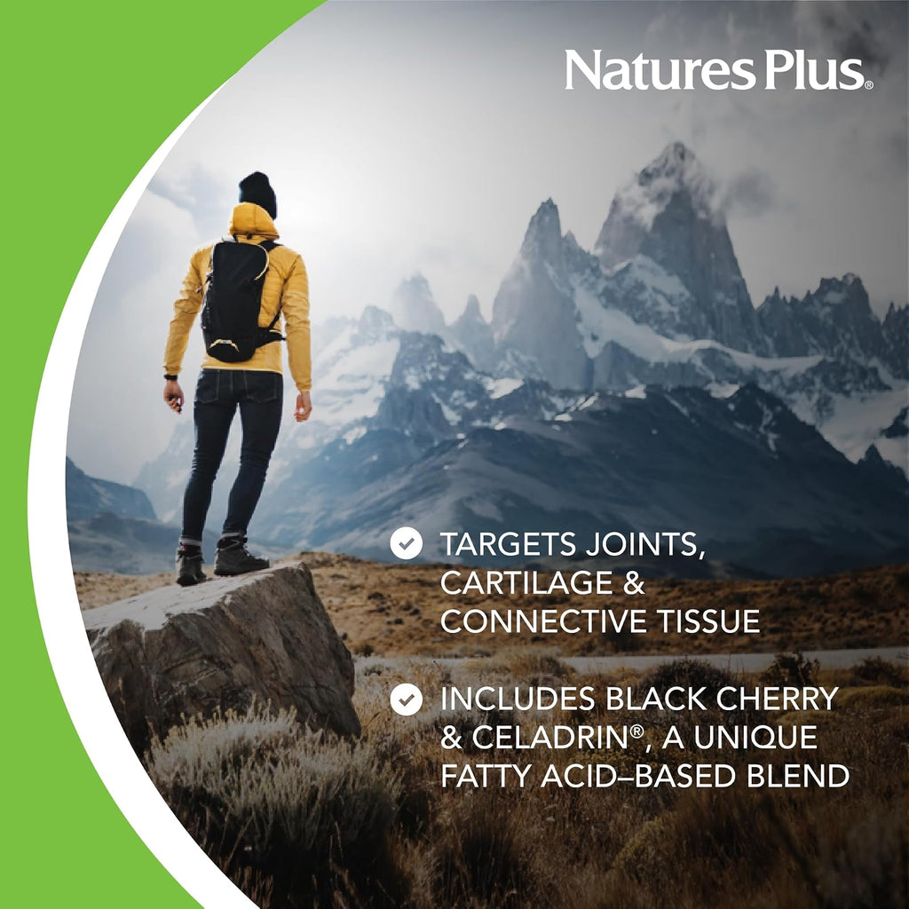 Liquid MSM for joint health