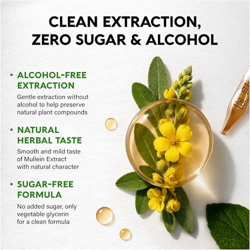 liquid mullein extract for adults