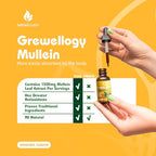 Liquid mullein extract for easy absorption