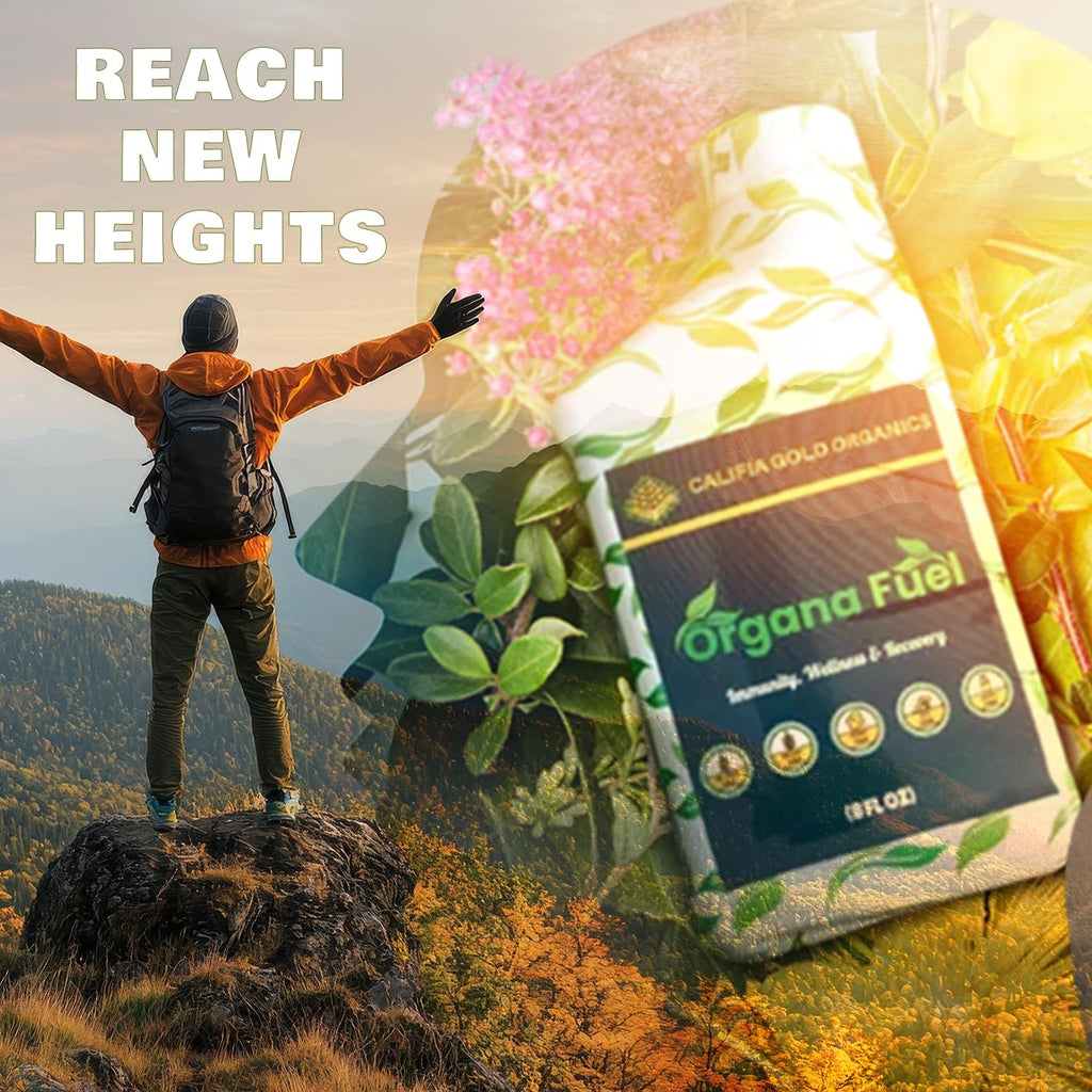 liquid multivitamin for easy absorption