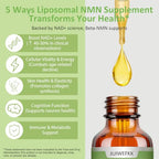 liquid multivitamin for energy boost