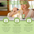 liquid multivitamins for better absorption