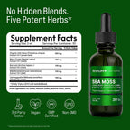 liquid multivitamins for wellness