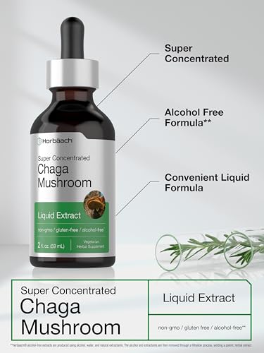 liquid mushroom extract for immunity