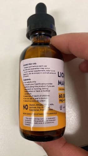 Liquid mushroom extract for mental clarity