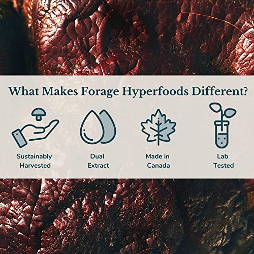 liquid mushroom supplement for energy