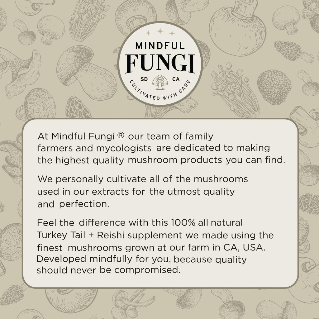 Liquid mushroom supplement for immunity