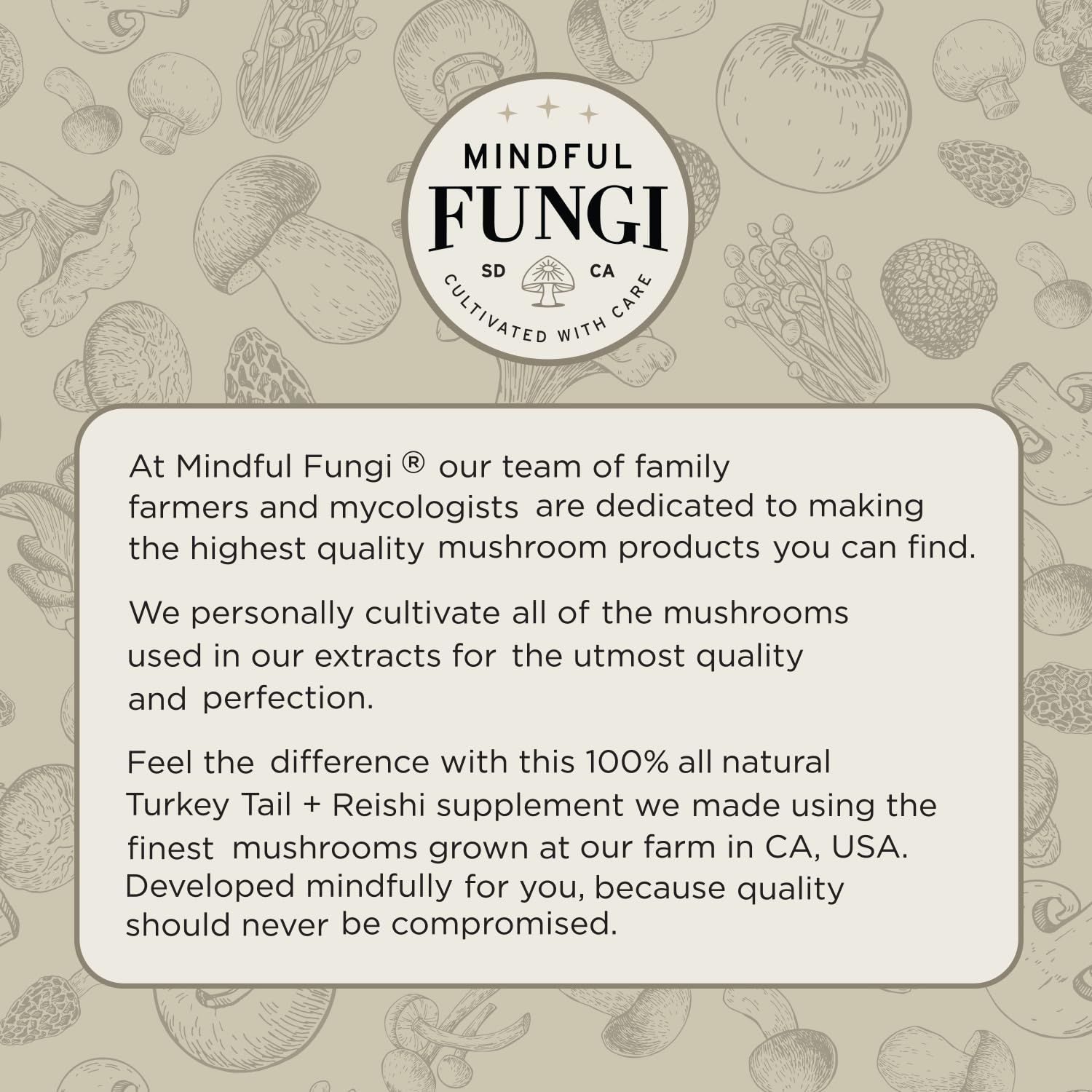 Liquid mushroom supplement for immunity