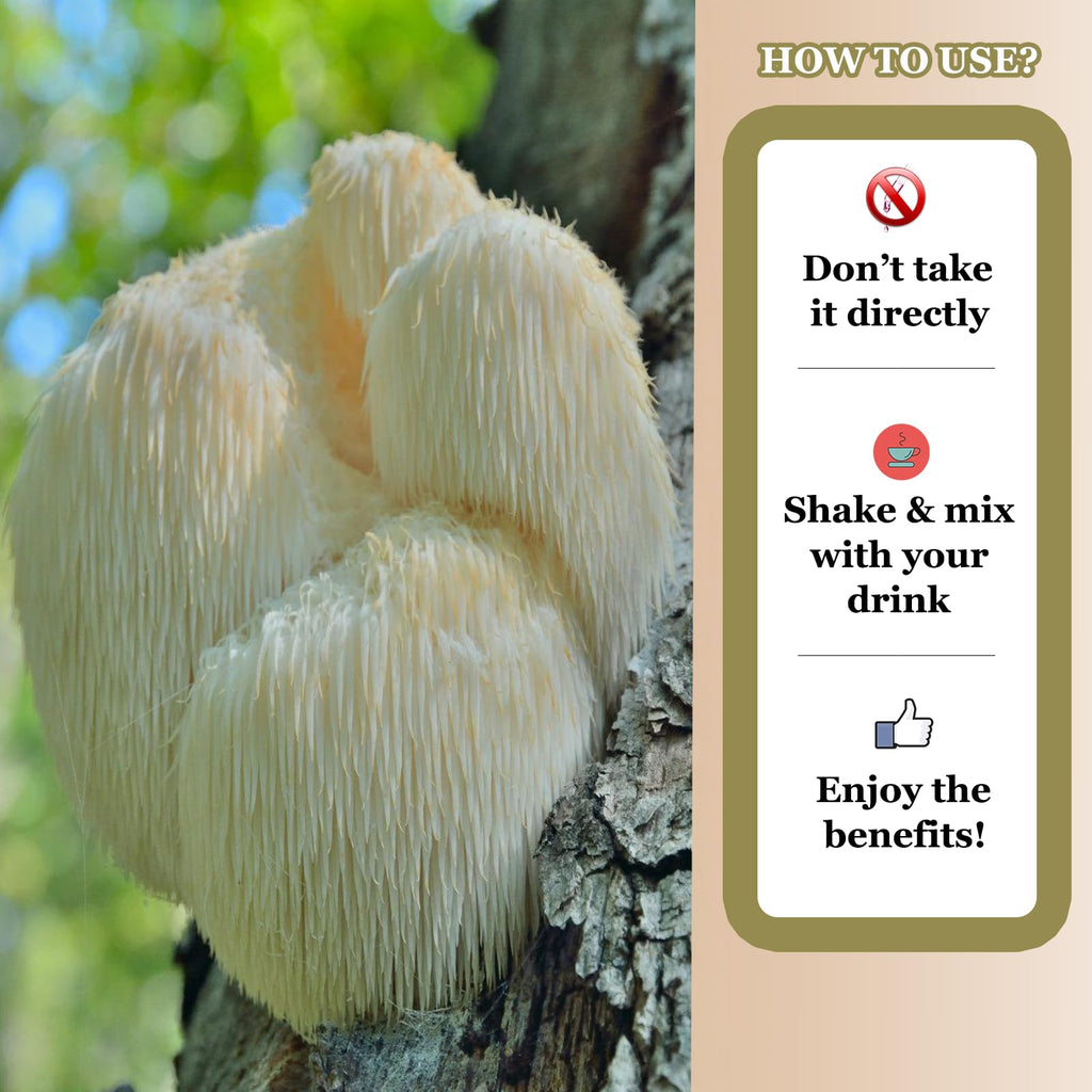 liquid mushrooms for daily nutrition