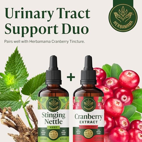 liquid nettle extract for digestion