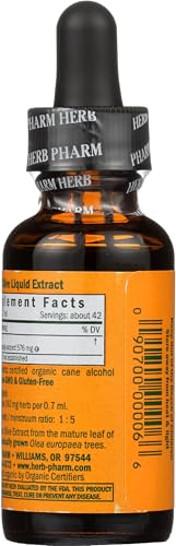 liquid olive leaf extract for wellness