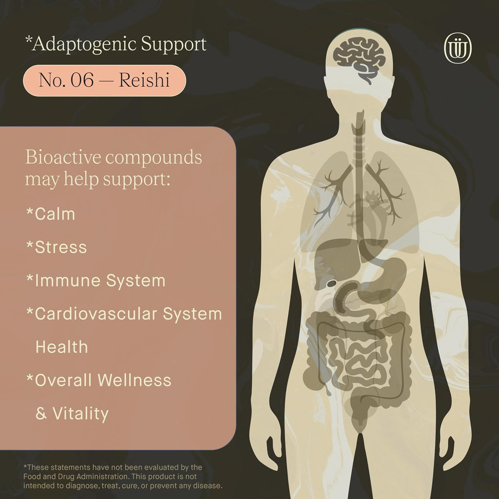 liquid reishi mushroom supplement for wellness