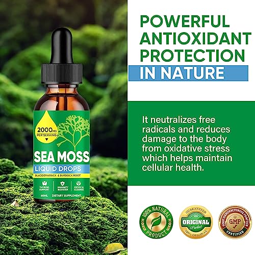 liquid sea moss for digestive aid