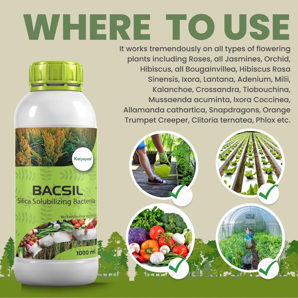 liquid silicon for agricultural use