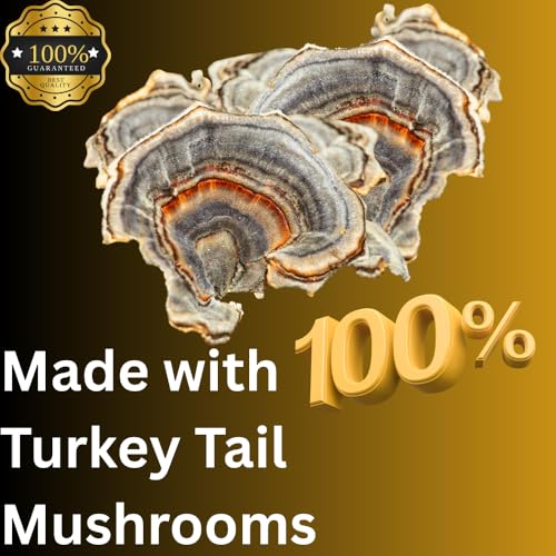 Liquid tincture for easy mushroom supplementation