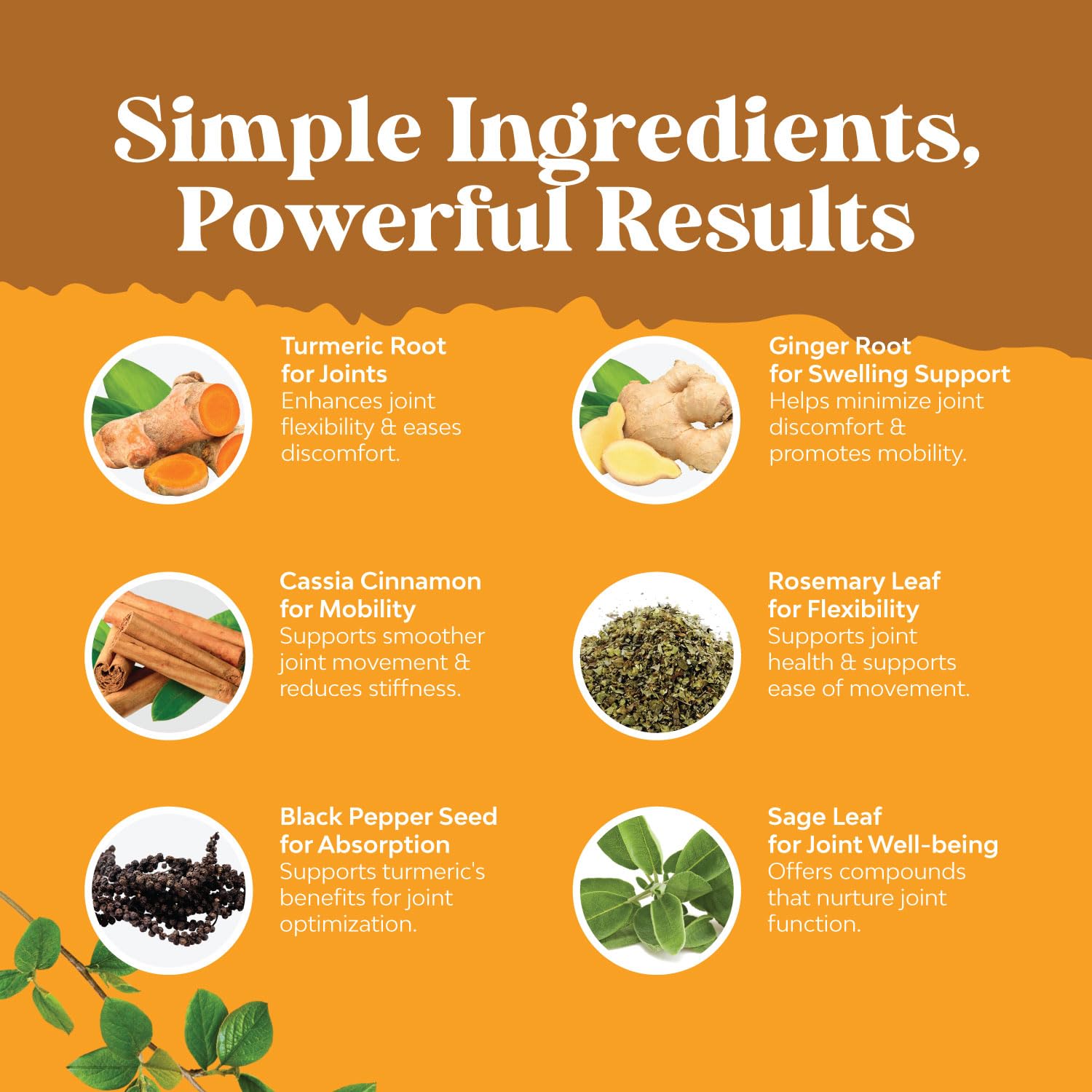 liquid turmeric for daily use