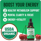 liquid vitamin b complex supplement