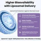 liquid vitamin b complex supplement