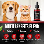 liquid vitamin b12 for better absorption