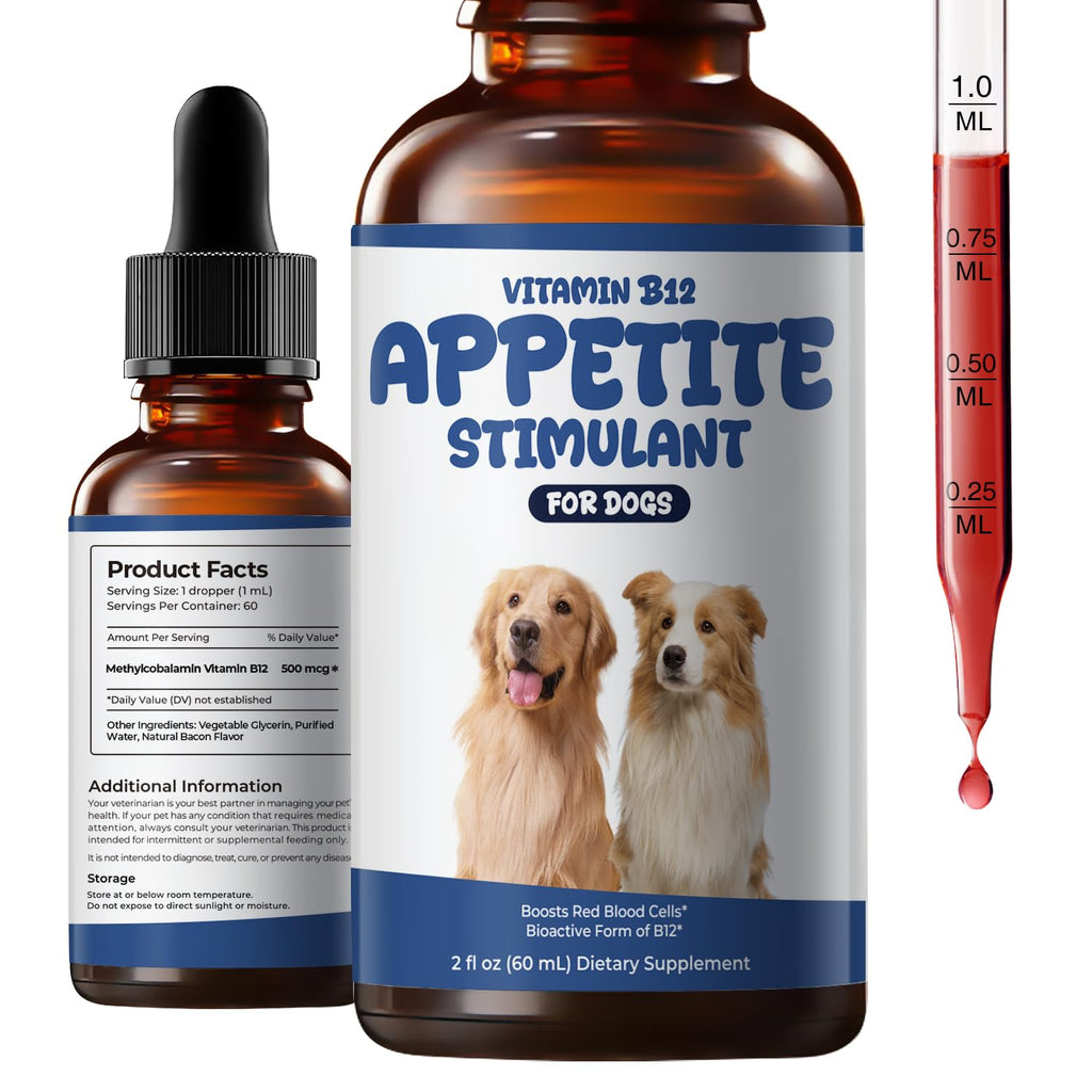 Liquid Vitamin B12 for energy boost