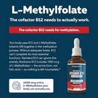 liquid vitamin b12 for energy